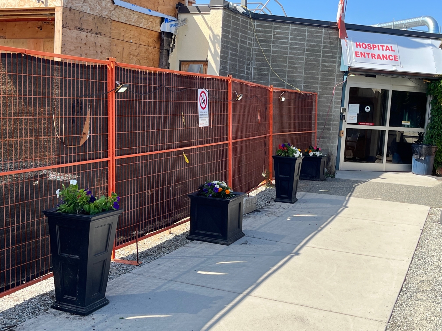 What's happening this month at Lady Minto Hospital? - Lady Minto ...